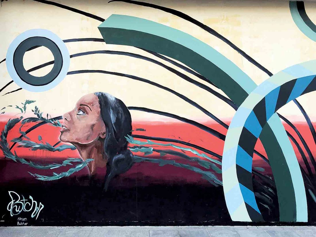 Former nurse Allison Butcher focuses on painting | News, Sports, Jobs ...